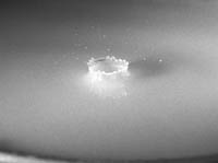Scientific Photos